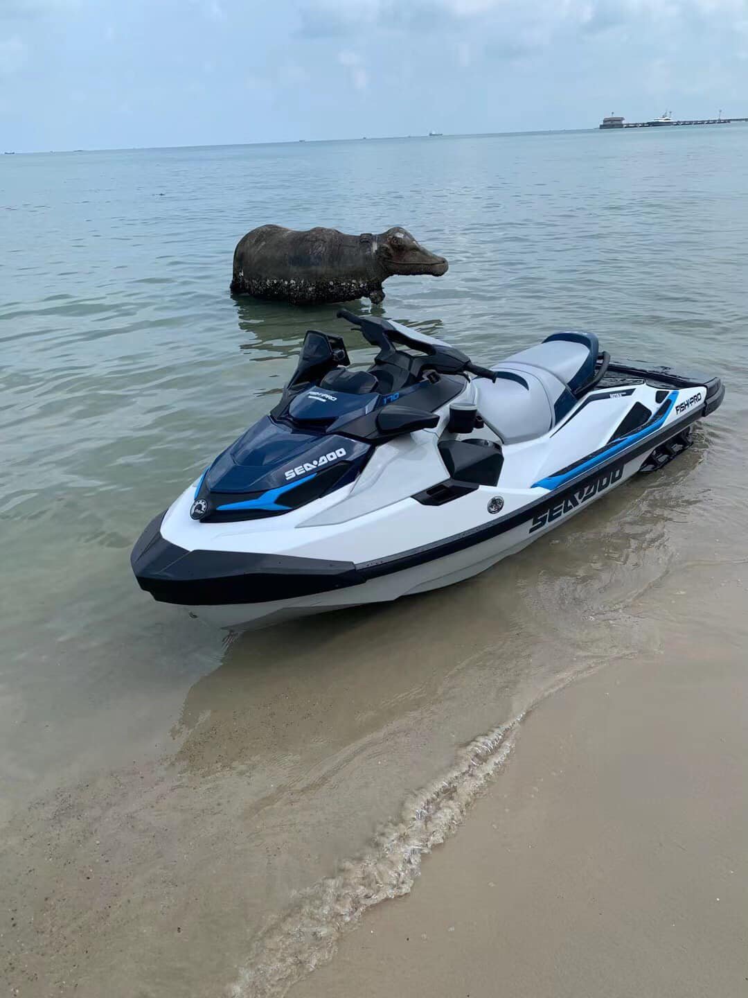 Sea Doo FISH PRO 170 iDF and Sound System 2021 - Graf Stef Sport